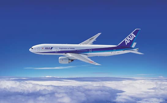 ANA Card Member Services Guide|ANA Card|ANA Mileage Club