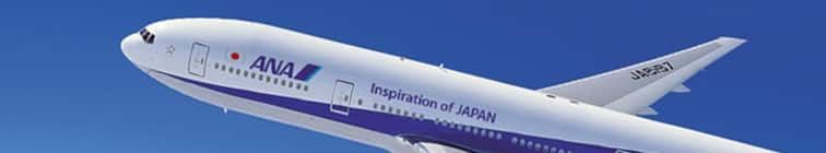 ANA Card Member Services Guide|ANA Card|ANA Mileage Club