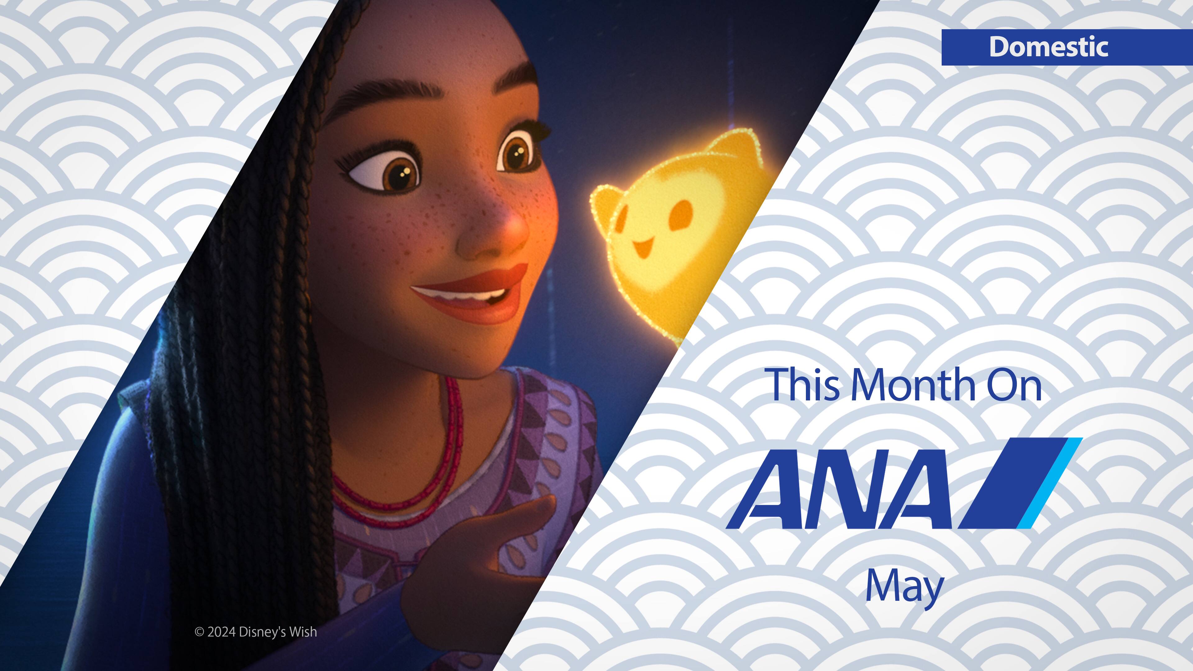 ANA Wi-Fi / Entertainment|Domestic Flights|ANA