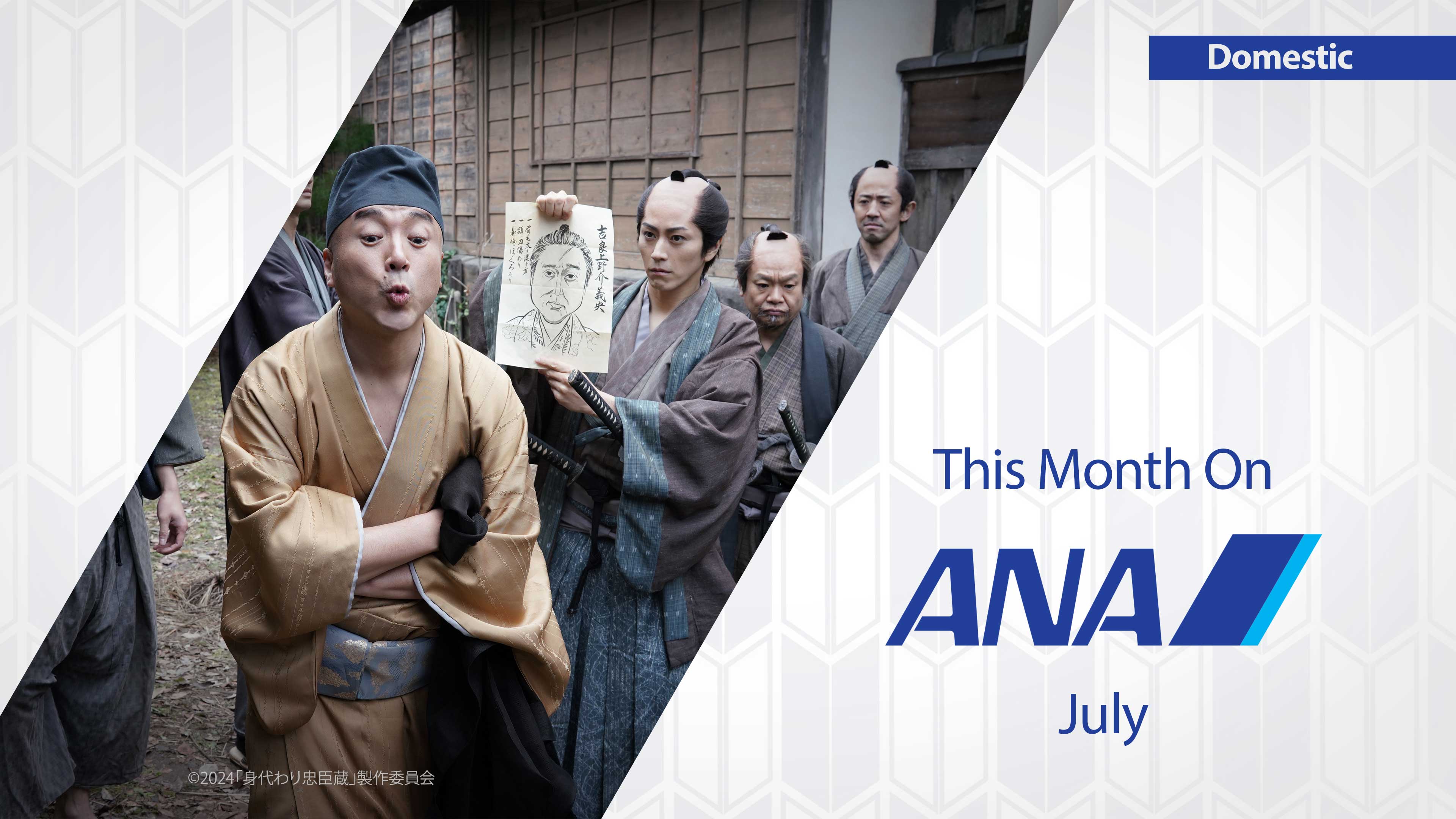 ANA Wi-Fi / Entertainment|Domestic Flights|ANA