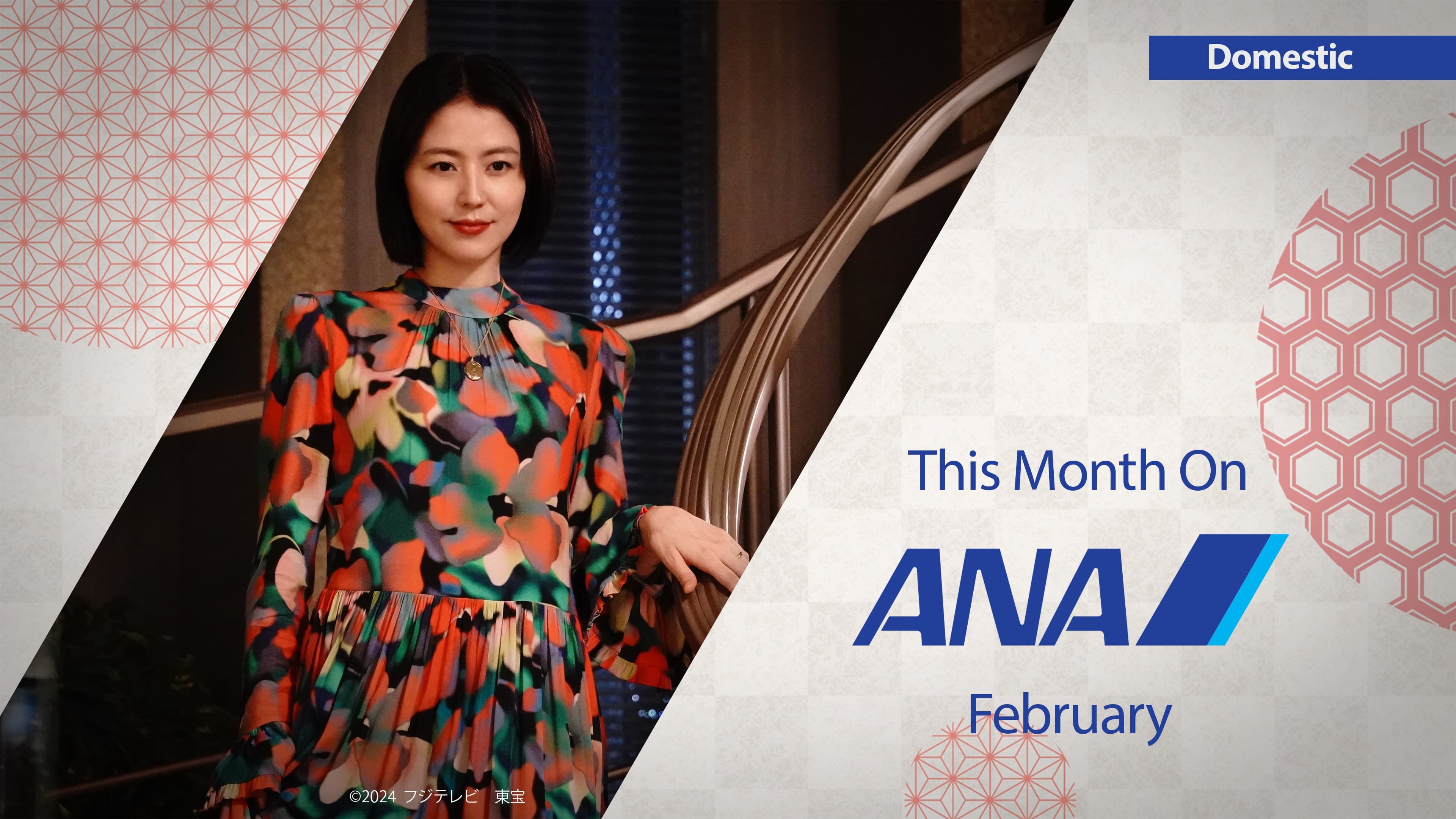 ANA Wi-Fi / Entertainment|Domestic Flights|ANA