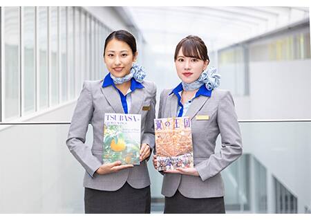 ANA Wi-Fi / Entertainment|Domestic Flights|ANA