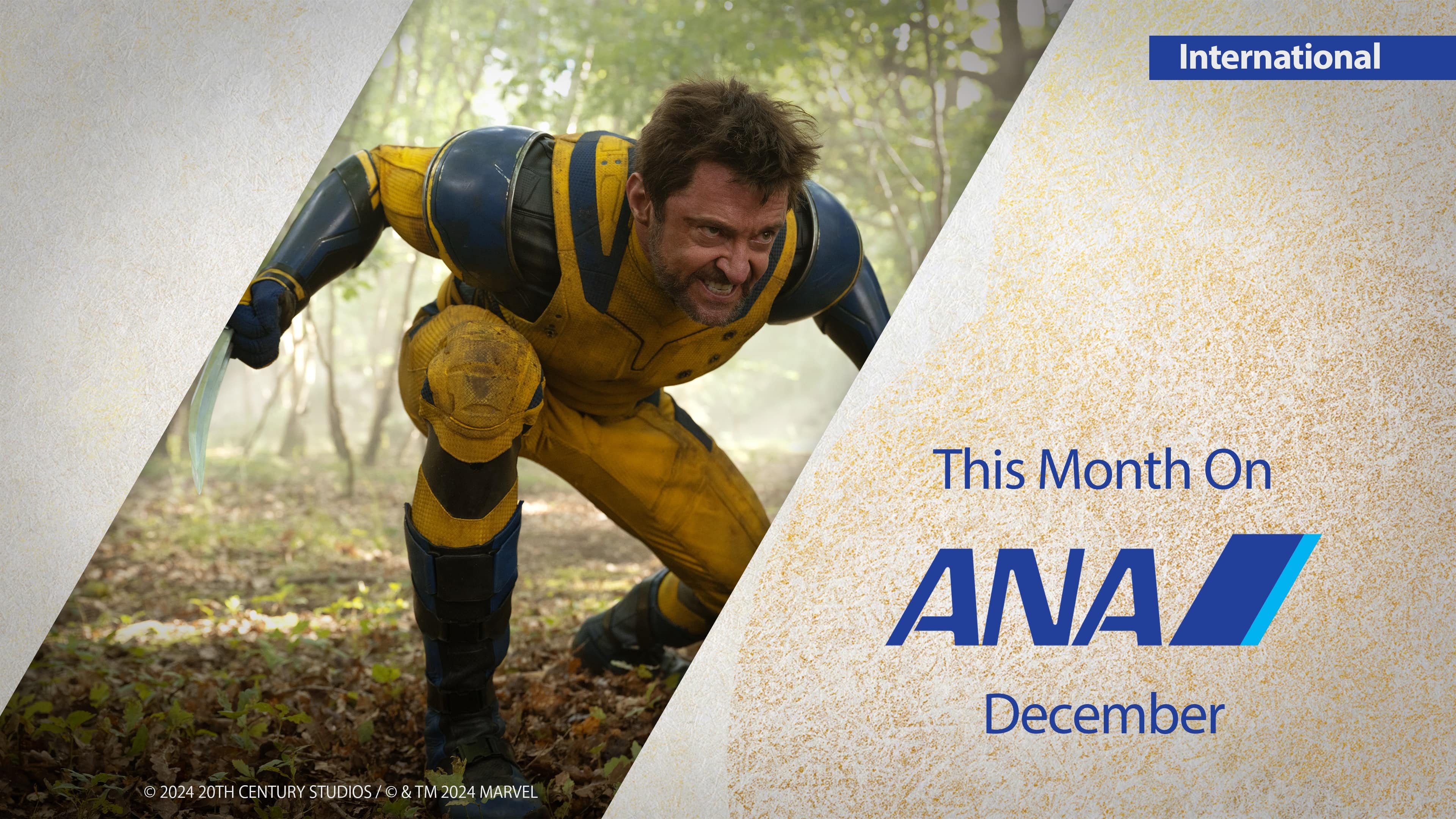 ANA Economy Class: Wi-Fi and Entertainment|International flights|ANA