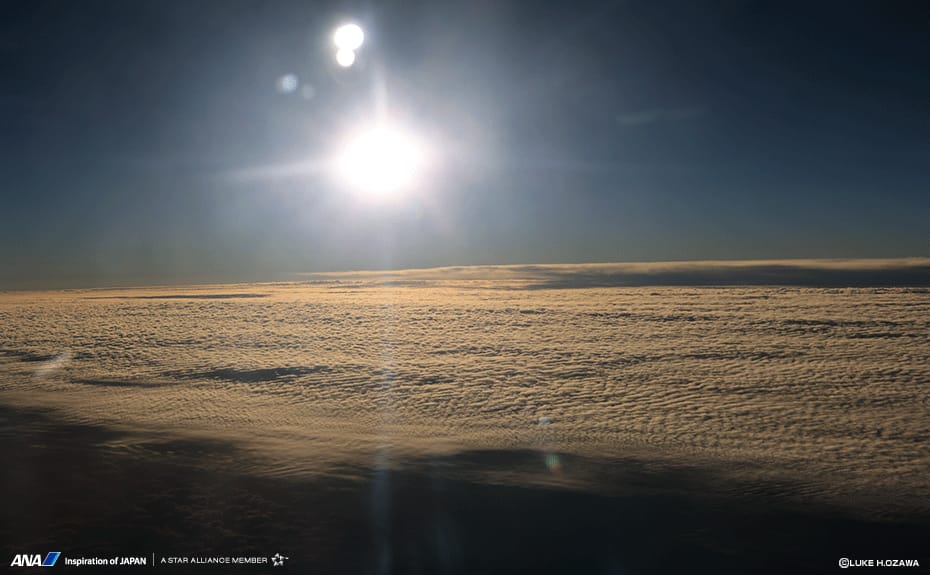 ANA Original Wallpaper | Download Wallpapers | Other | The ANA ...