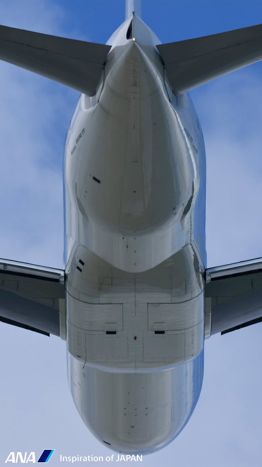 ana待ち受け画像 – 壁紙カレンダー ana – MSDW