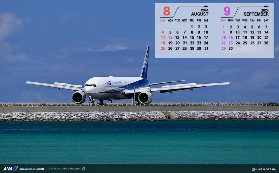 Download Wallpapers|ANA