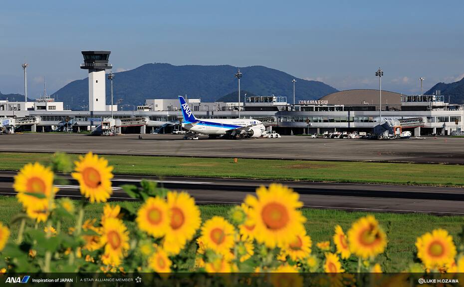 Download Wallpapers|ANA