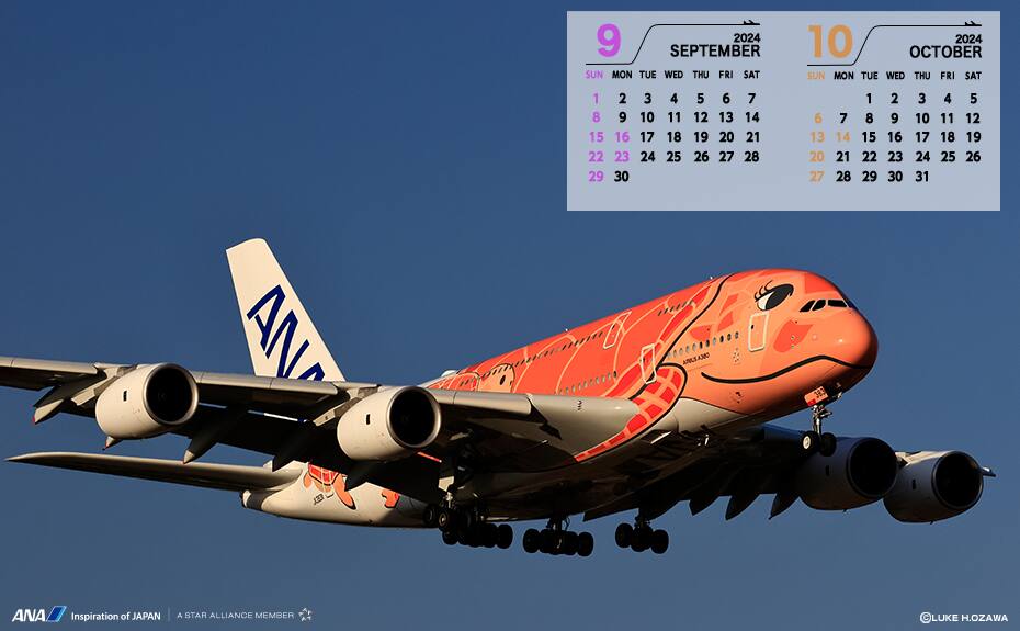 Download Wallpapers|ANA