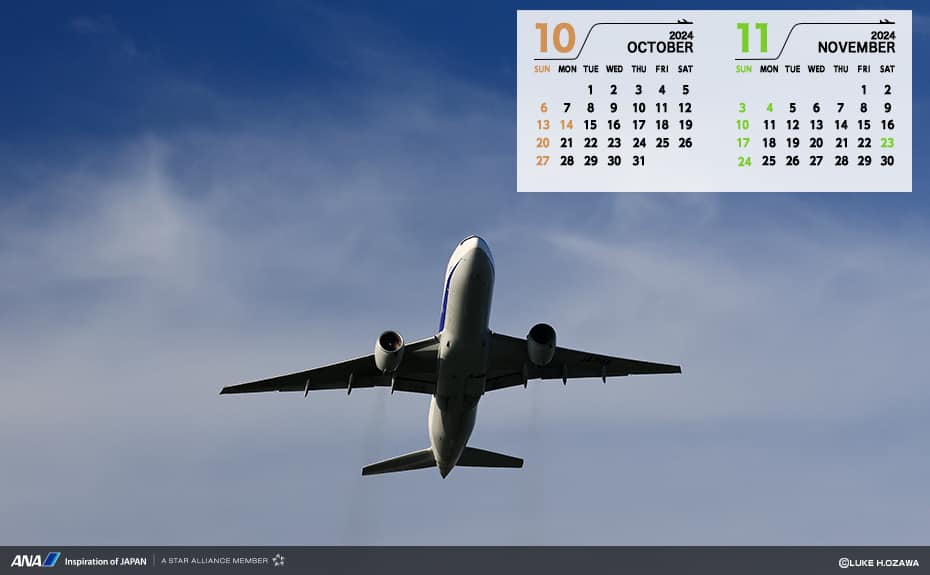 Download Wallpapers|ANA