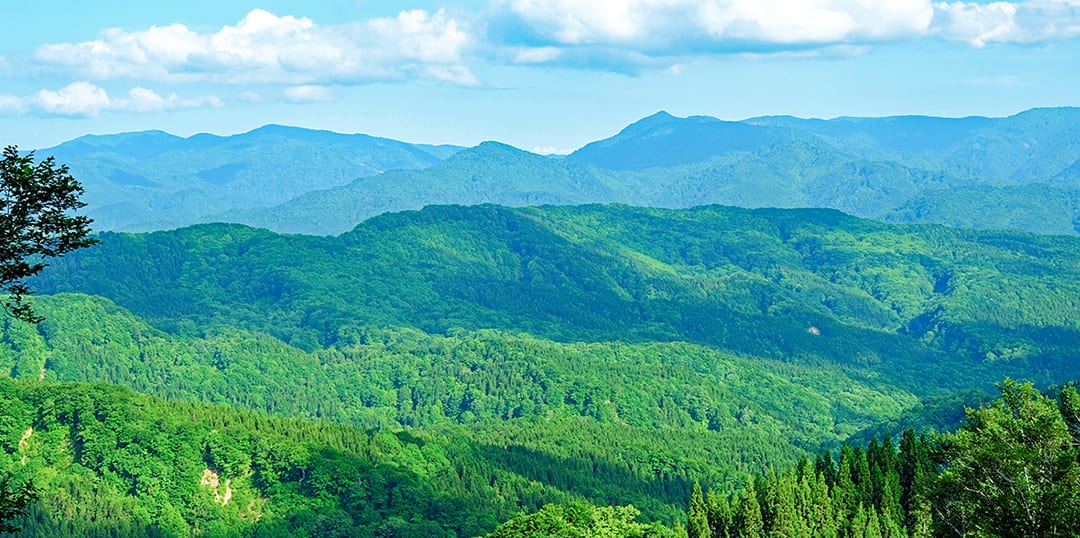 世界遺産「白神山地」 | ANAたび図鑑 | ANAトラベラーズ