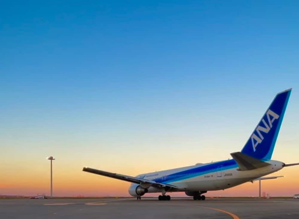 社員の想いが詰まった写真＆イラストを一挙ご紹介！ | ANA ボーイング767就航40周年記念サイト | ANAグループ企業情報