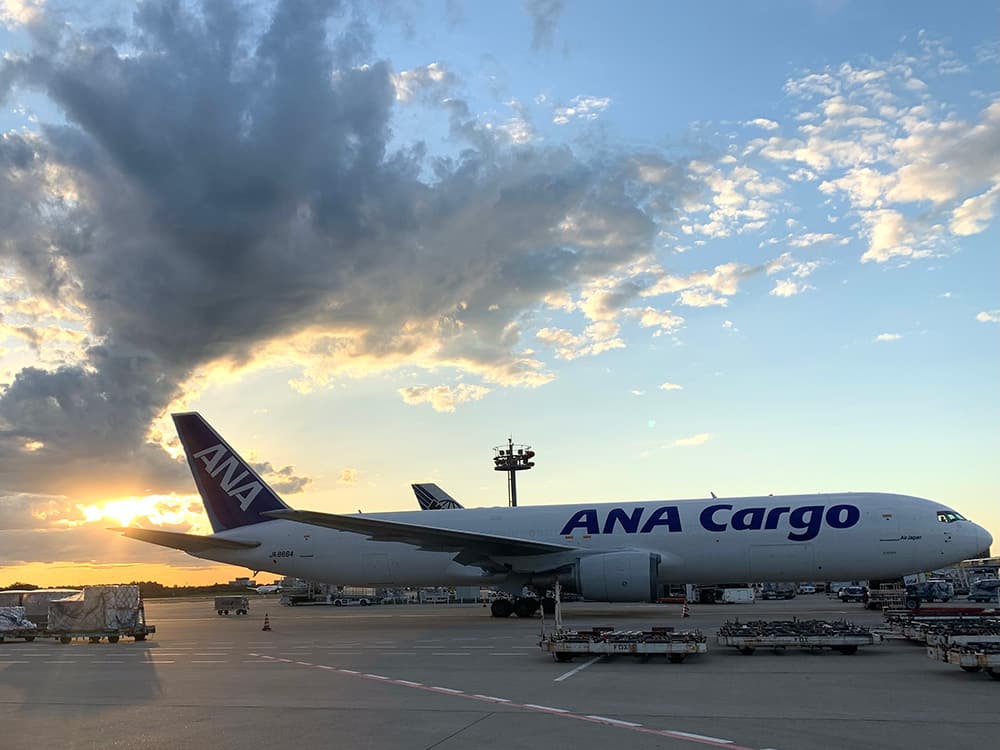 社員の想いが詰まった写真＆イラストを一挙ご紹介！ | ANA ボーイング767就航40周年記念サイト | ANAグループ企業情報