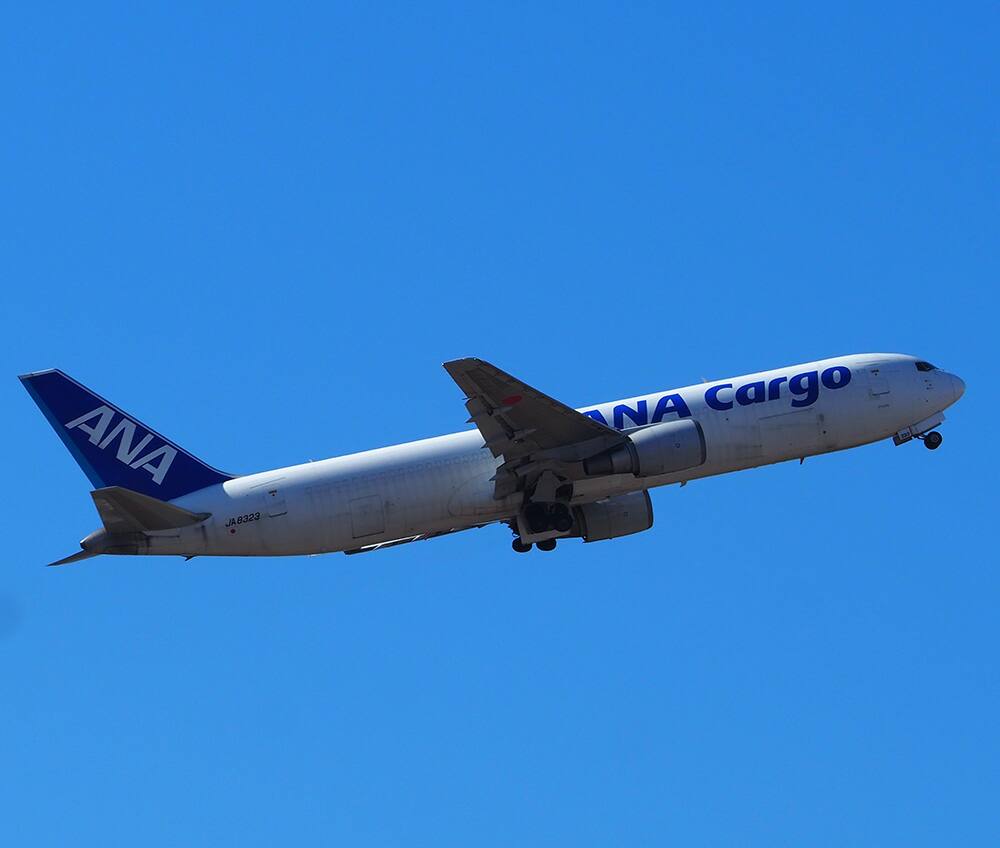 社員の想いが詰まった写真＆イラストを一挙ご紹介！ | ANA ボーイング767就航40周年記念サイト | ANAグループ企業情報