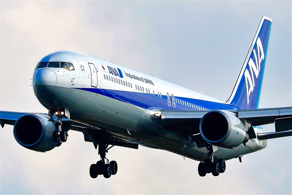 社員の想いが詰まった写真＆イラストを一挙ご紹介！ | ANA ボーイング767就航40周年記念サイト | ANAグループ企業情報