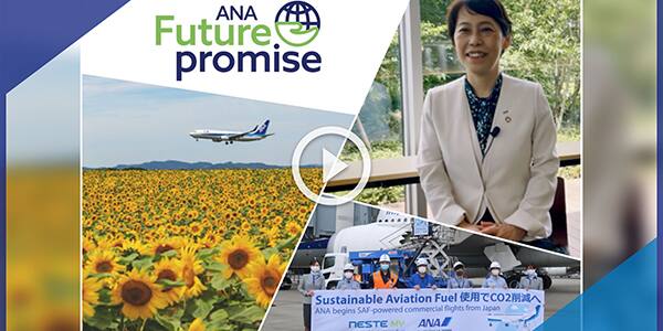 ANA Group Corp.'s Information