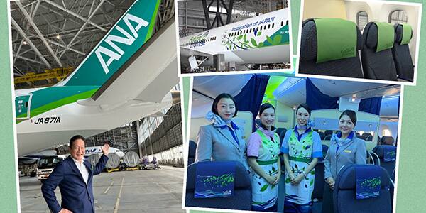 ANA Group Corp.'s Information