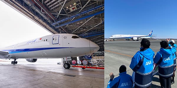 ANA Group Corp.'s Information