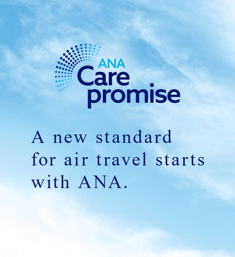 ANA Group Corp.'s Information