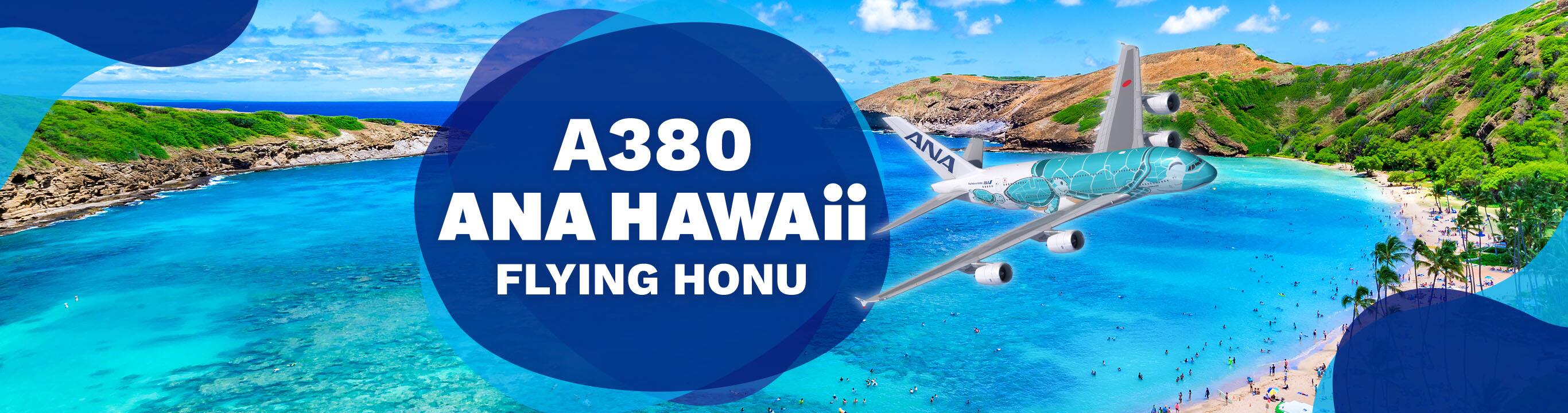 Information on Scheduled Flights Between Narita and Honolulu Using ...