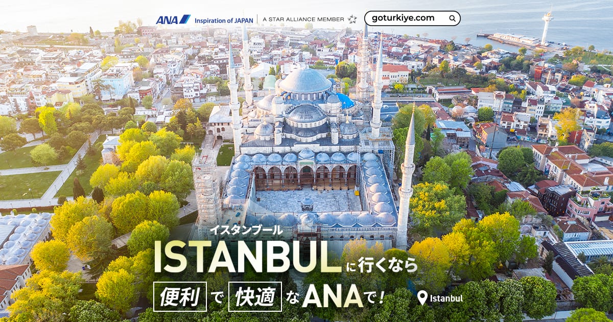 イスタンブールに行くなら 便利で快適なANAで！|ANA