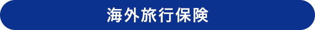終身医療保険【ANA】たった10秒見積り＆最短5分のネット申込|ANAマイレージクラブ