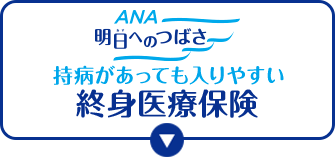 ANAの保険|ANAマイレージクラブ