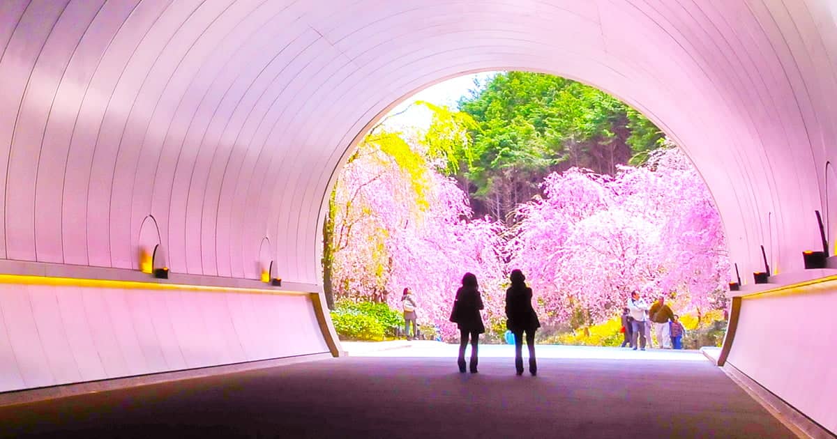 Uncover Eight Must-Visit Museums in Japan for Art and Nature Lovers ...