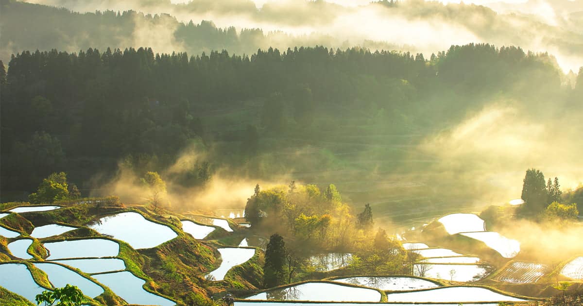 Explore the magic of Niigata - ANA