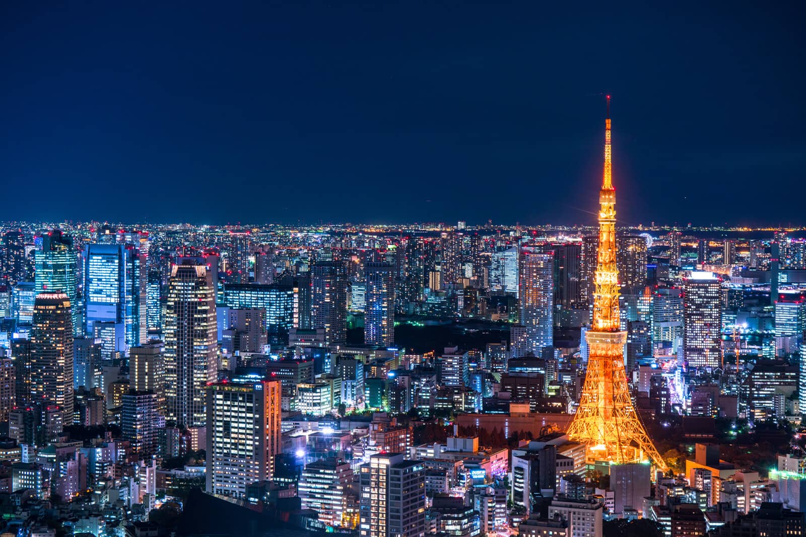 Tokyo : la plus grande ville du Japon | À la découverte du JAPON - ANA