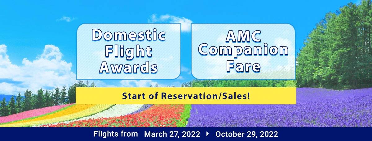 Domestic Flight Awards and AMC Companion Fare on Reservation and Sale ...