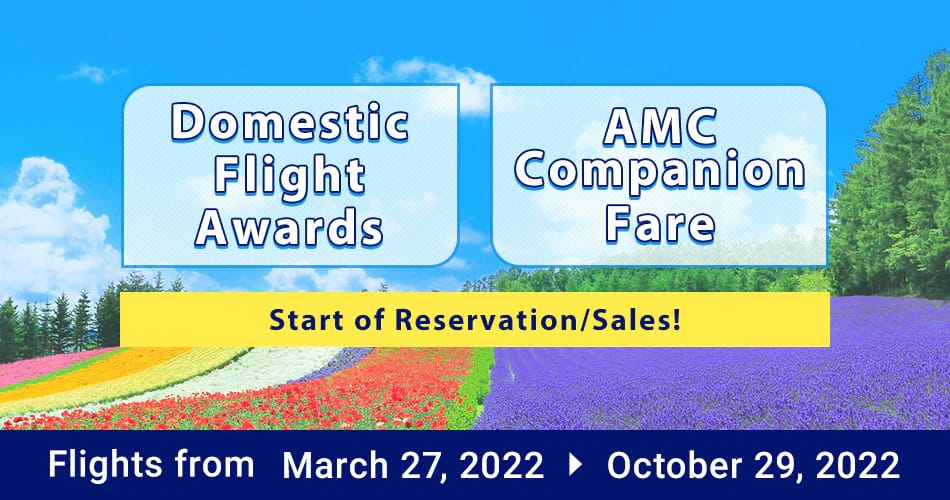 Domestic Flight Awards and AMC Companion Fare on Reservation and Sale ...
