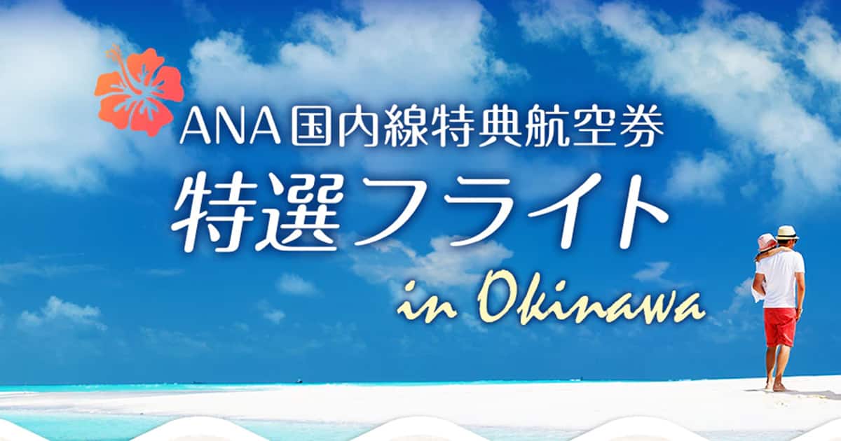 ANA Japan Domestic Flight Awards OKINAWA|ANA