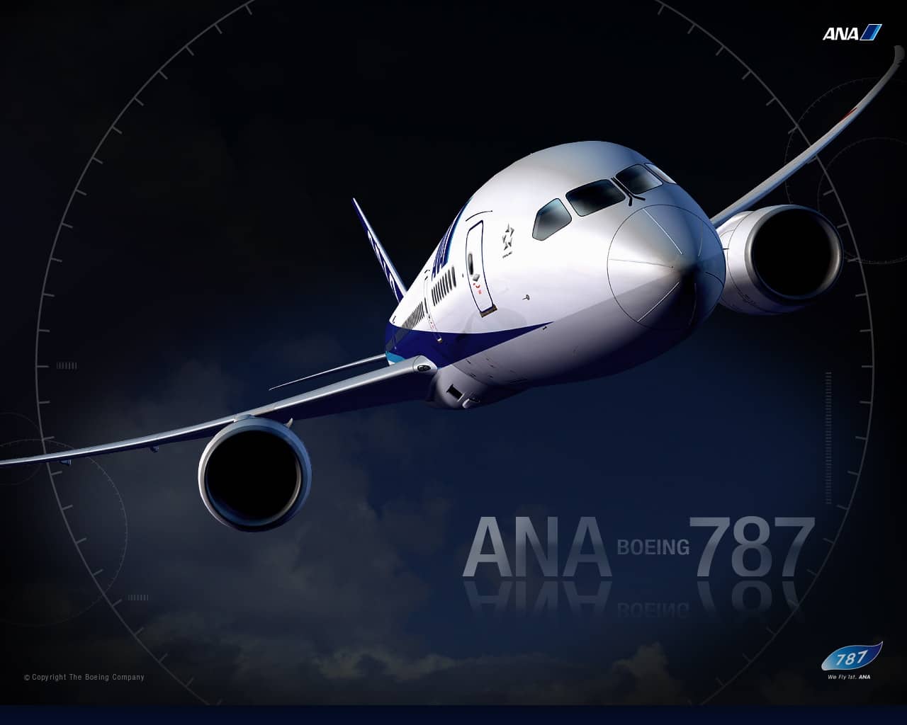 ANA B787