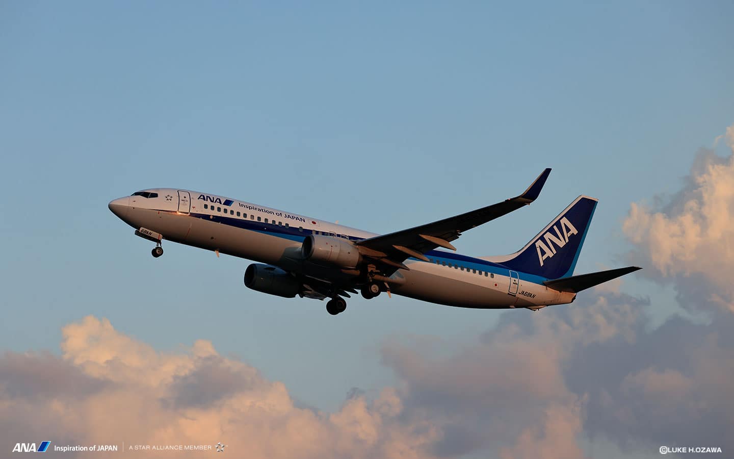 Download Wallpapers|ANA