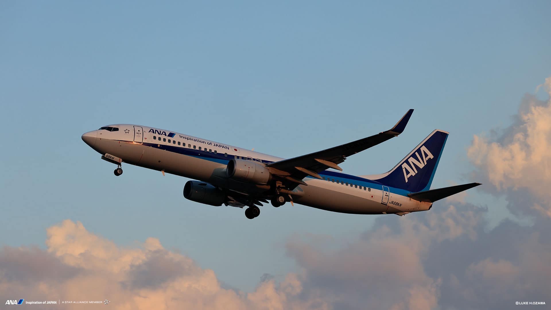 Download Wallpapers|ANA