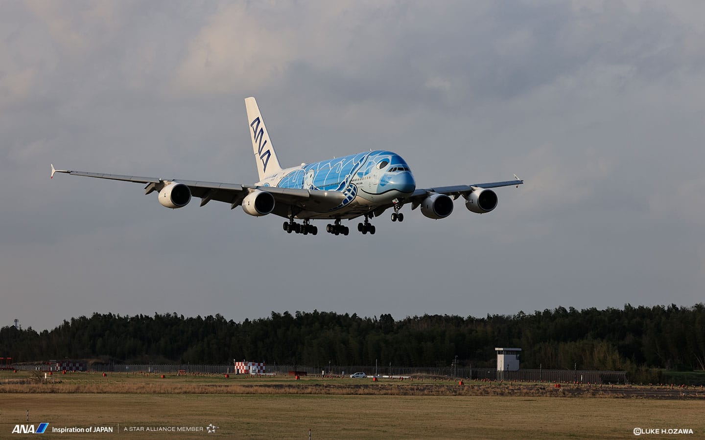 Download Wallpapers|ANA