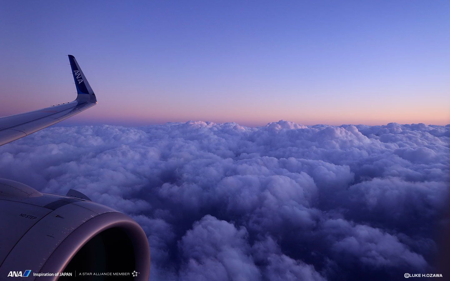 ANA Original Wallpaper | Download Wallpapers | Other | The ANA ...