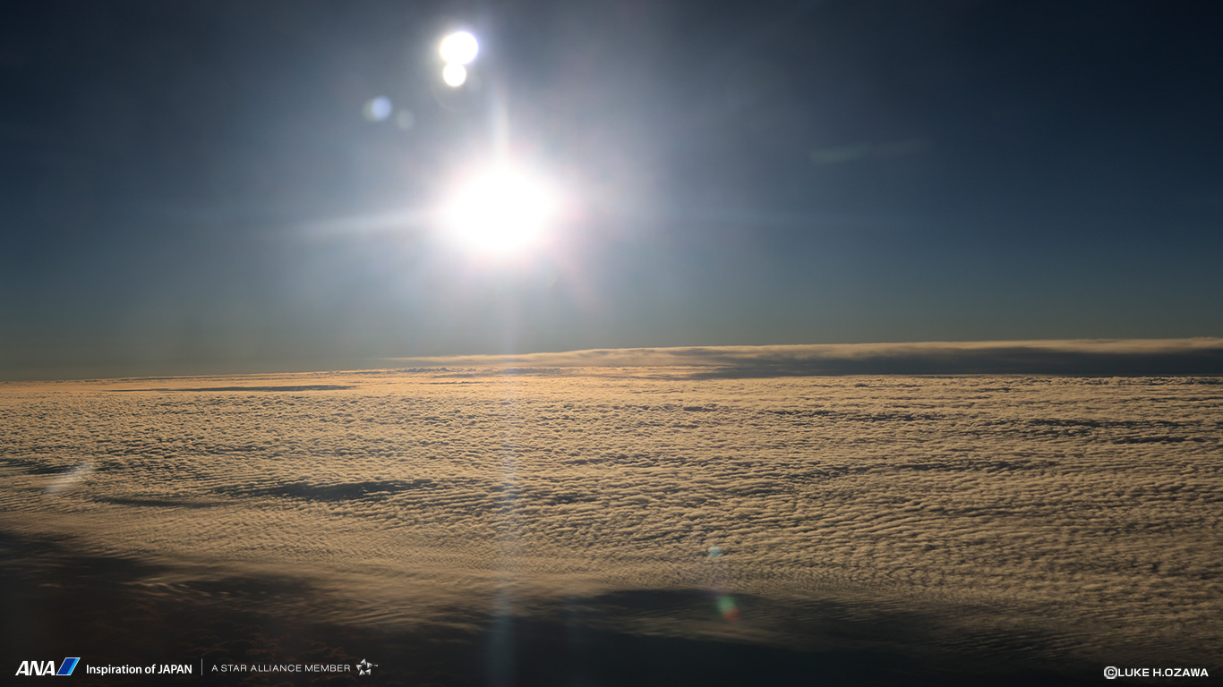 ANA Original Wallpaper | Download Wallpapers | Other | The ANA ...