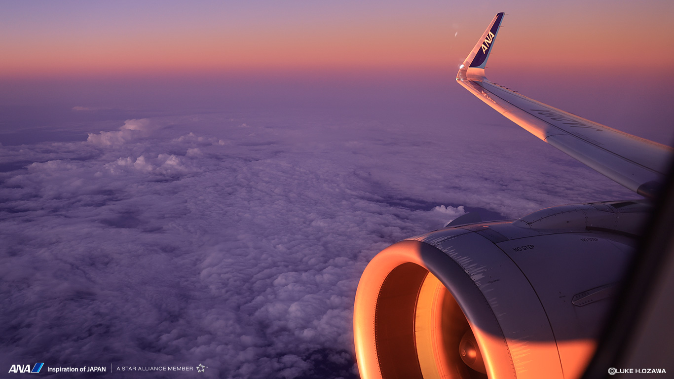 ANA Original Wallpaper | Download Wallpapers | Other | The ANA ...