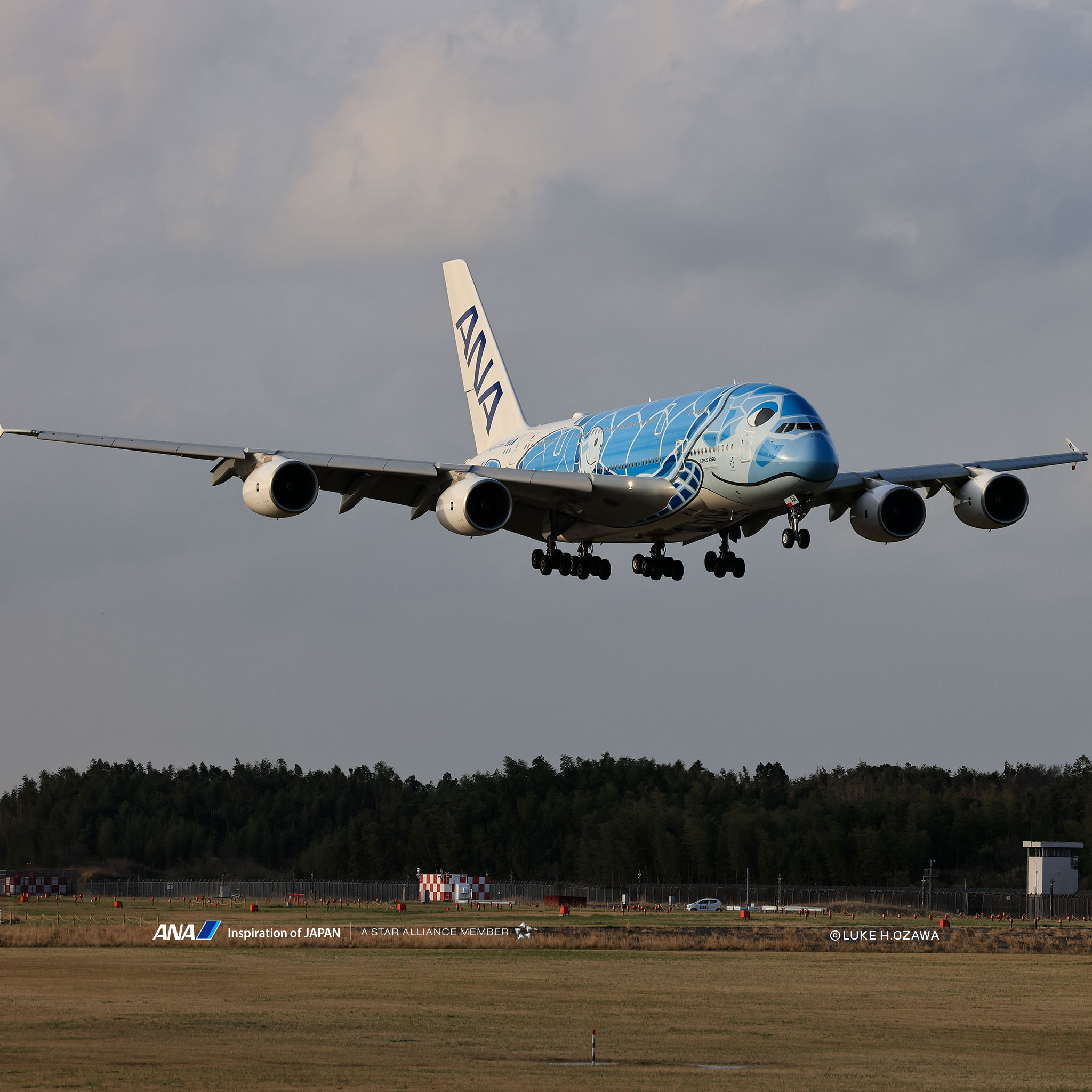 ANA Original Wallpaper | Download Wallpapers | Other | The ANA ...