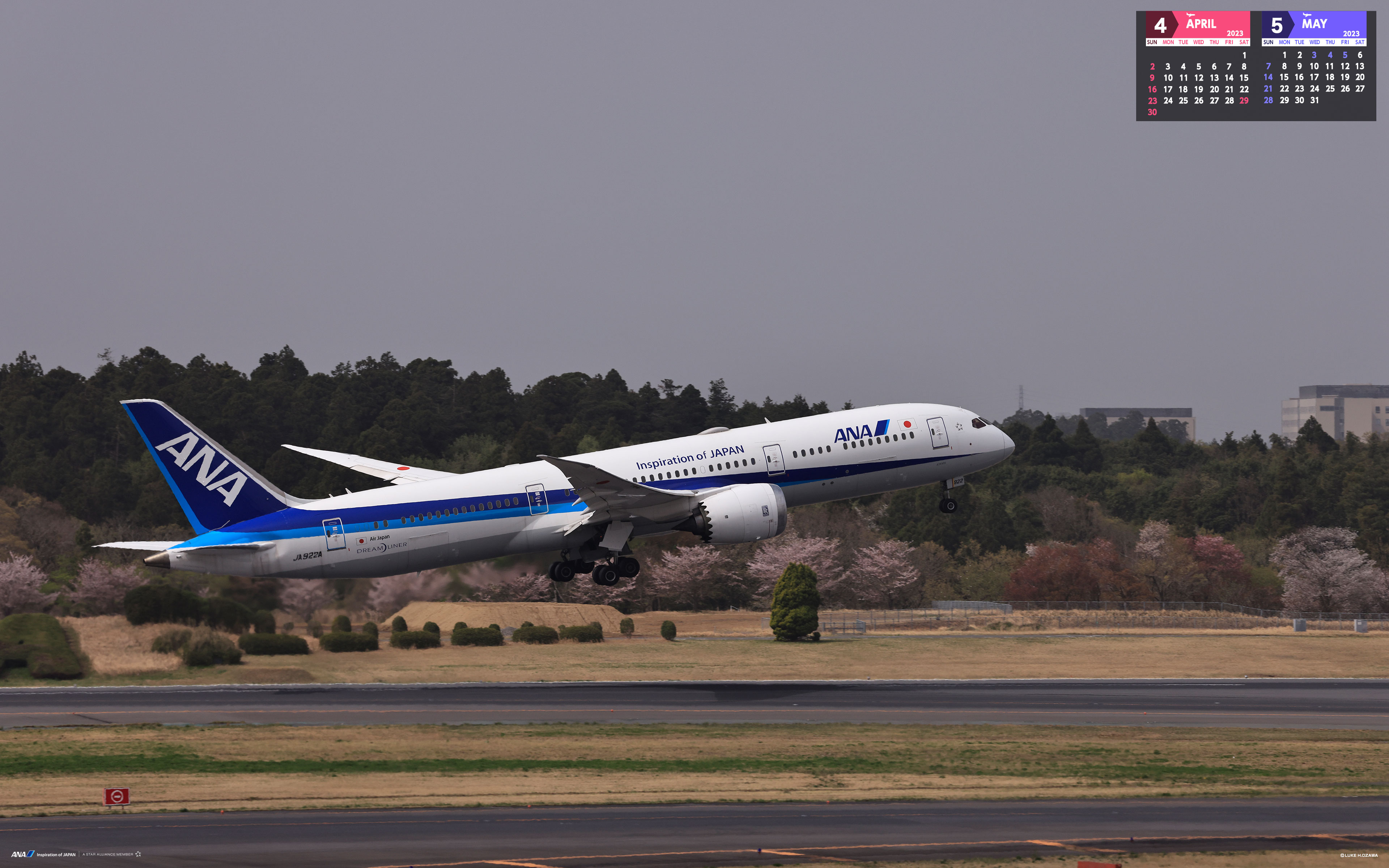 Download Wallpapers|ANA