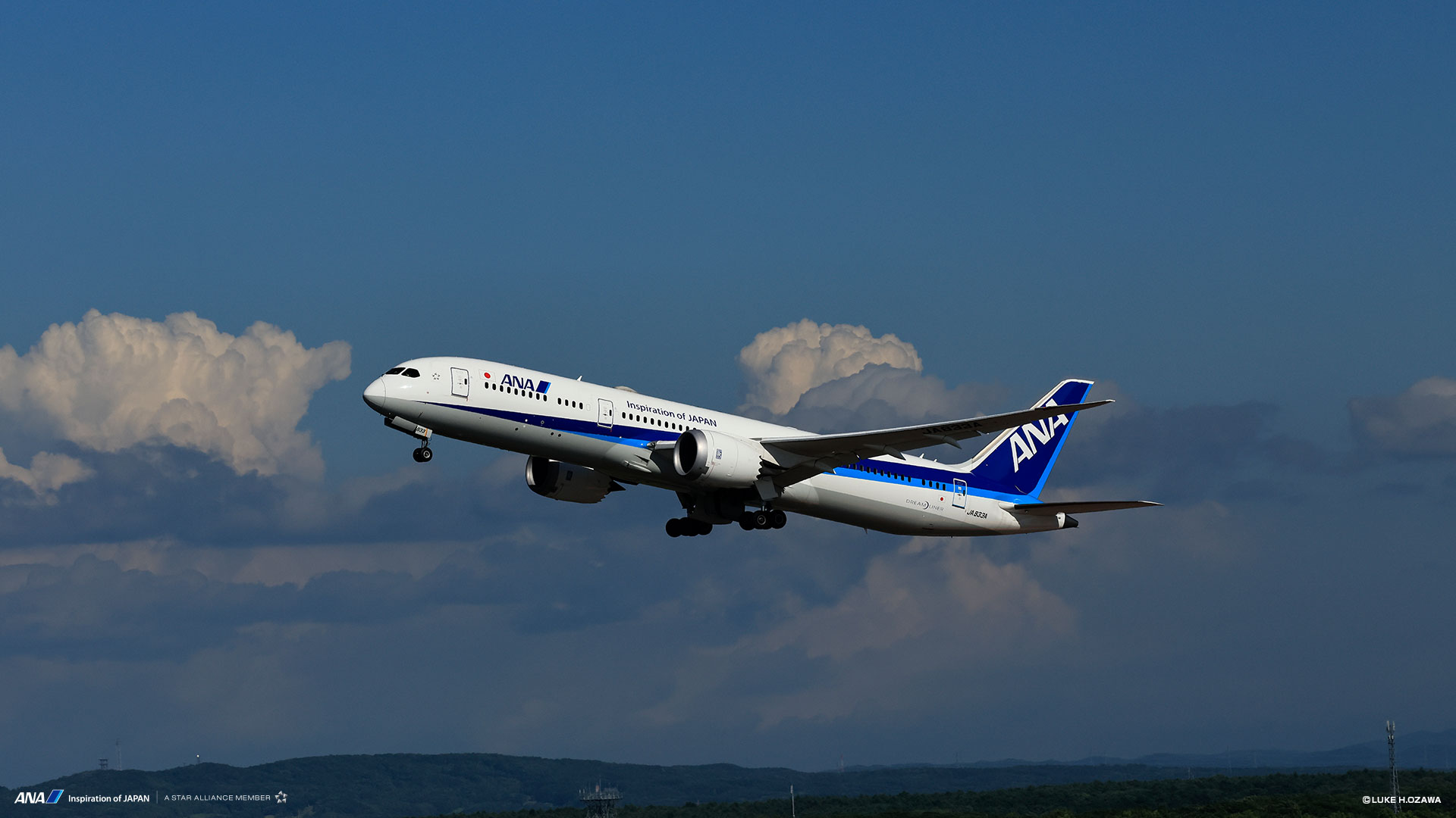 ANA Original Wallpaper | Download Wallpapers | Other | The ANA ...