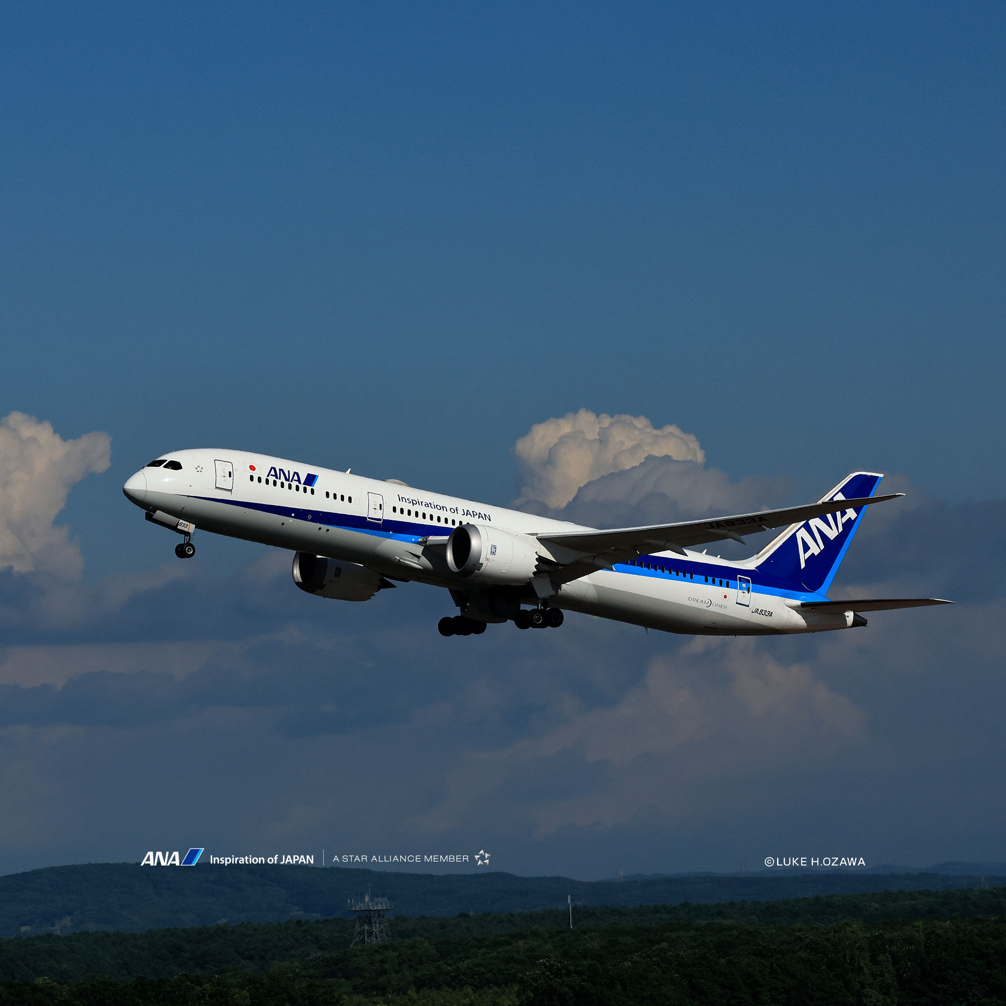 ANA Original Wallpaper | Download Wallpapers | Other | The ANA ...