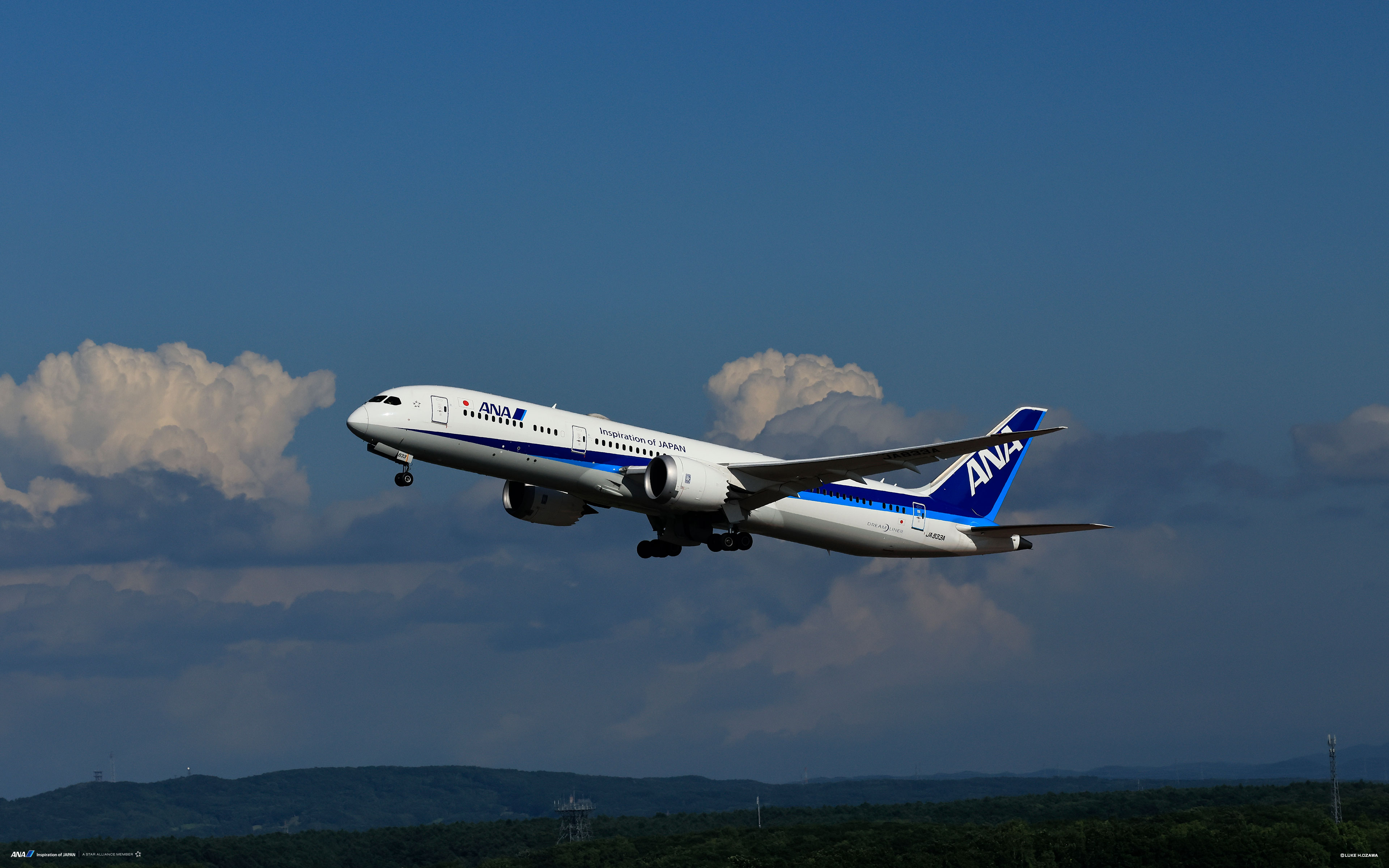 ANA Original Wallpaper | Download Wallpapers | Other | The ANA ...