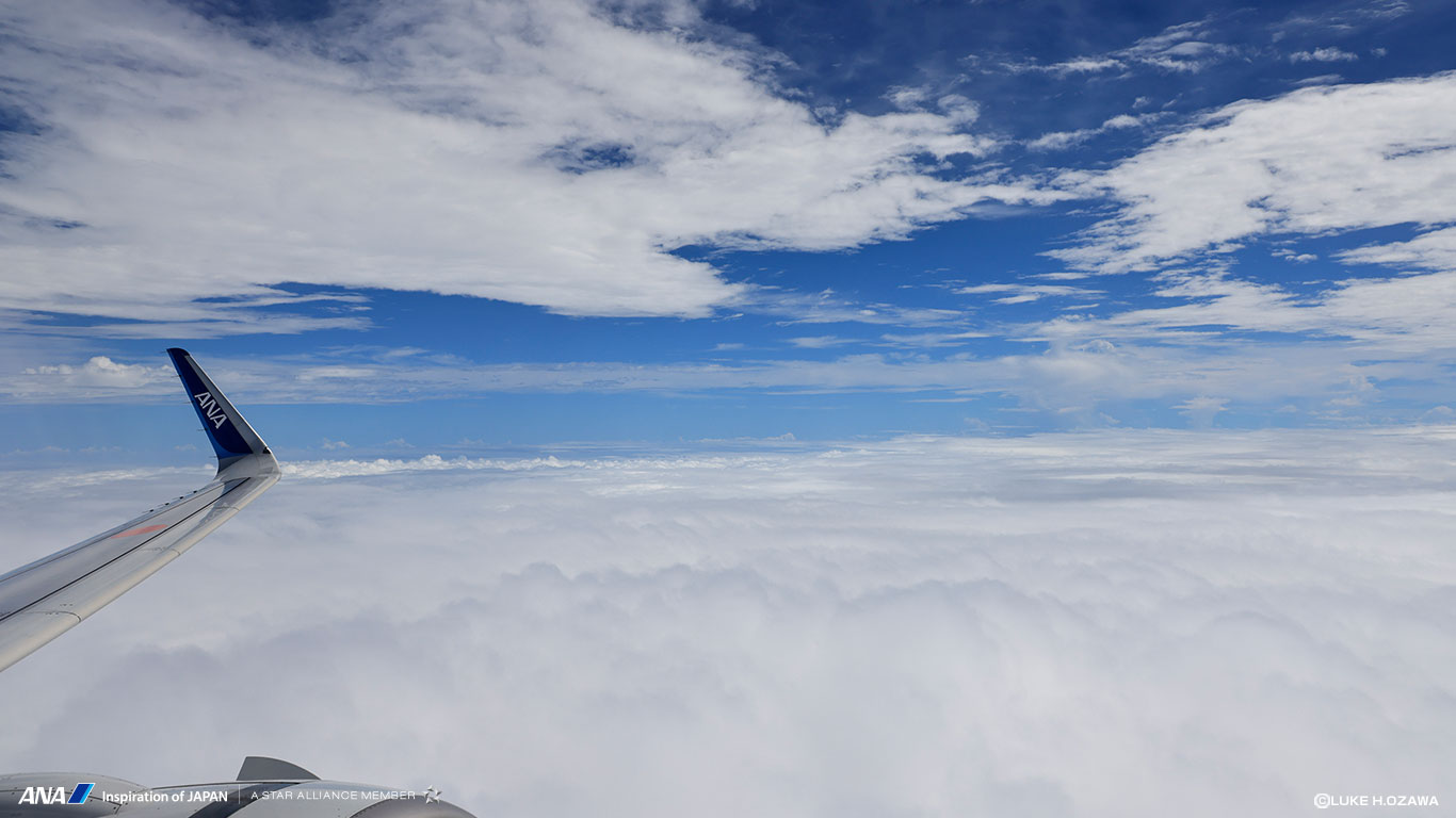 ANA Original Wallpaper | Download Wallpapers | Other | The ANA ...