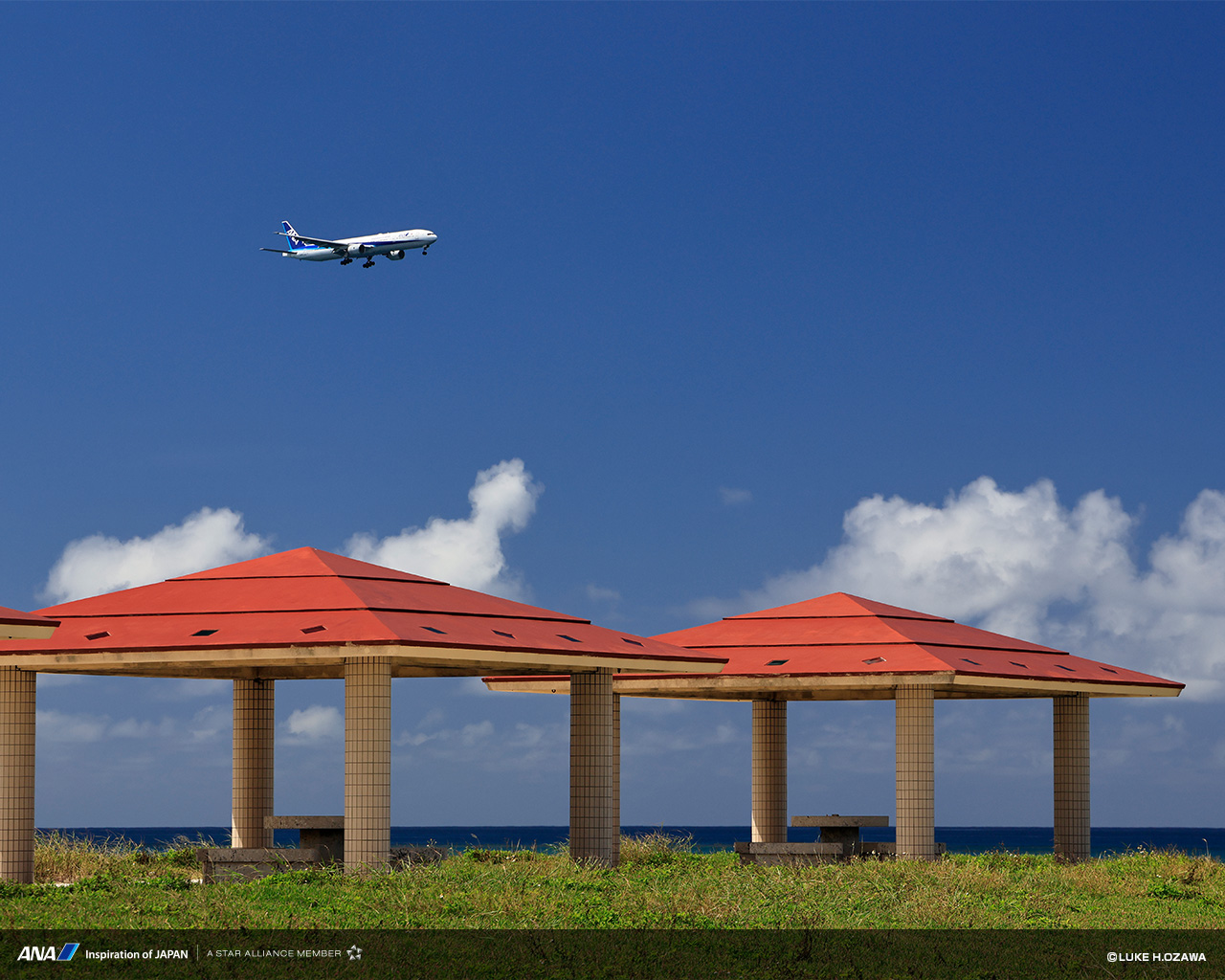 ANA Original Wallpaper | Download Wallpapers | Other | The ANA ...