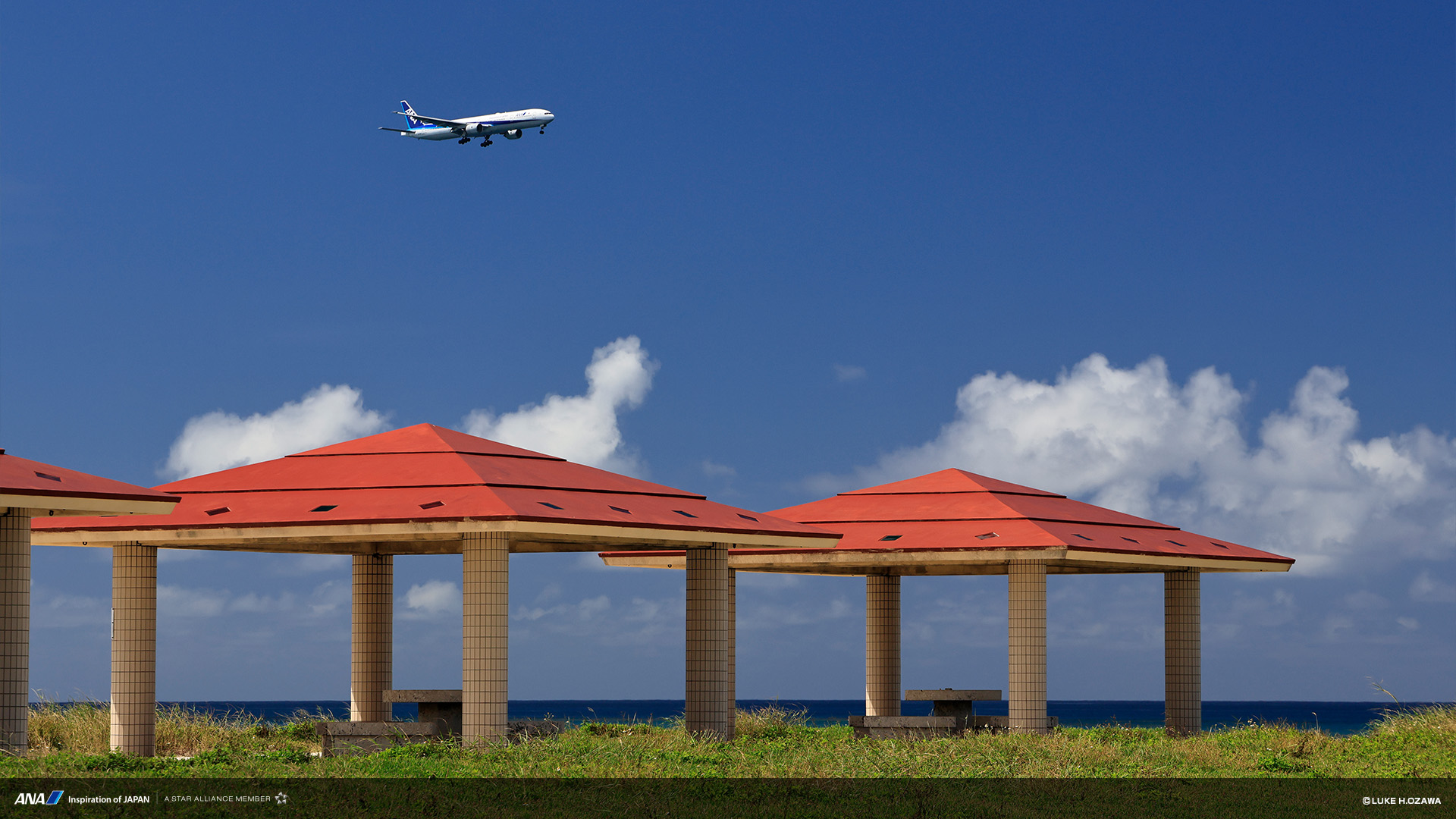 ANA Original Wallpaper | Download Wallpapers | Other | The ANA ...