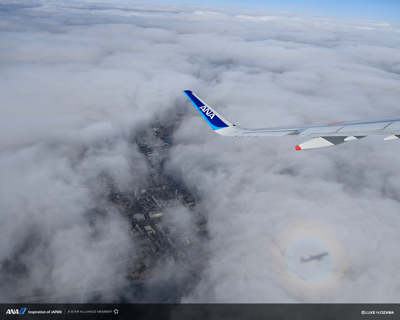 ANA Original Wallpaper | Download Wallpapers | Other | The ANA ...