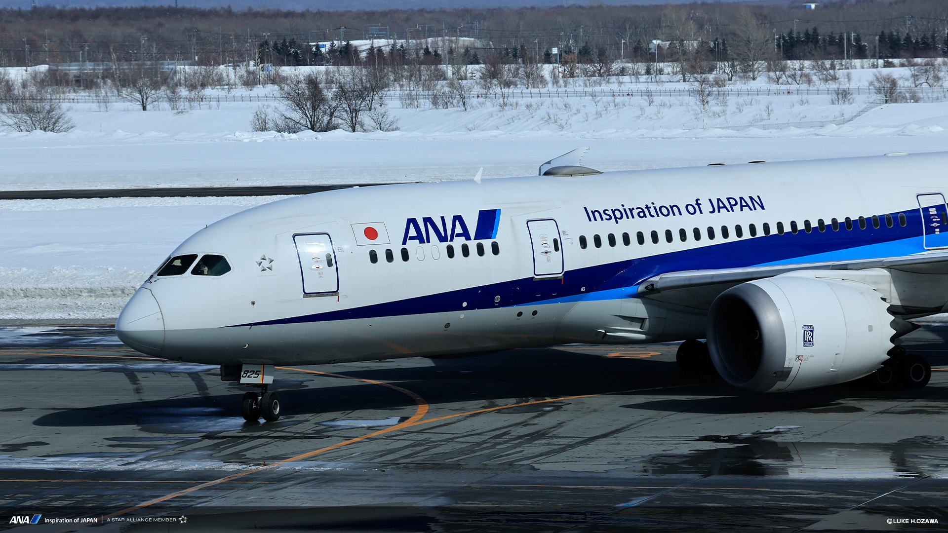 ANA Original Wallpaper | Download Wallpapers | Other | The ANA ...