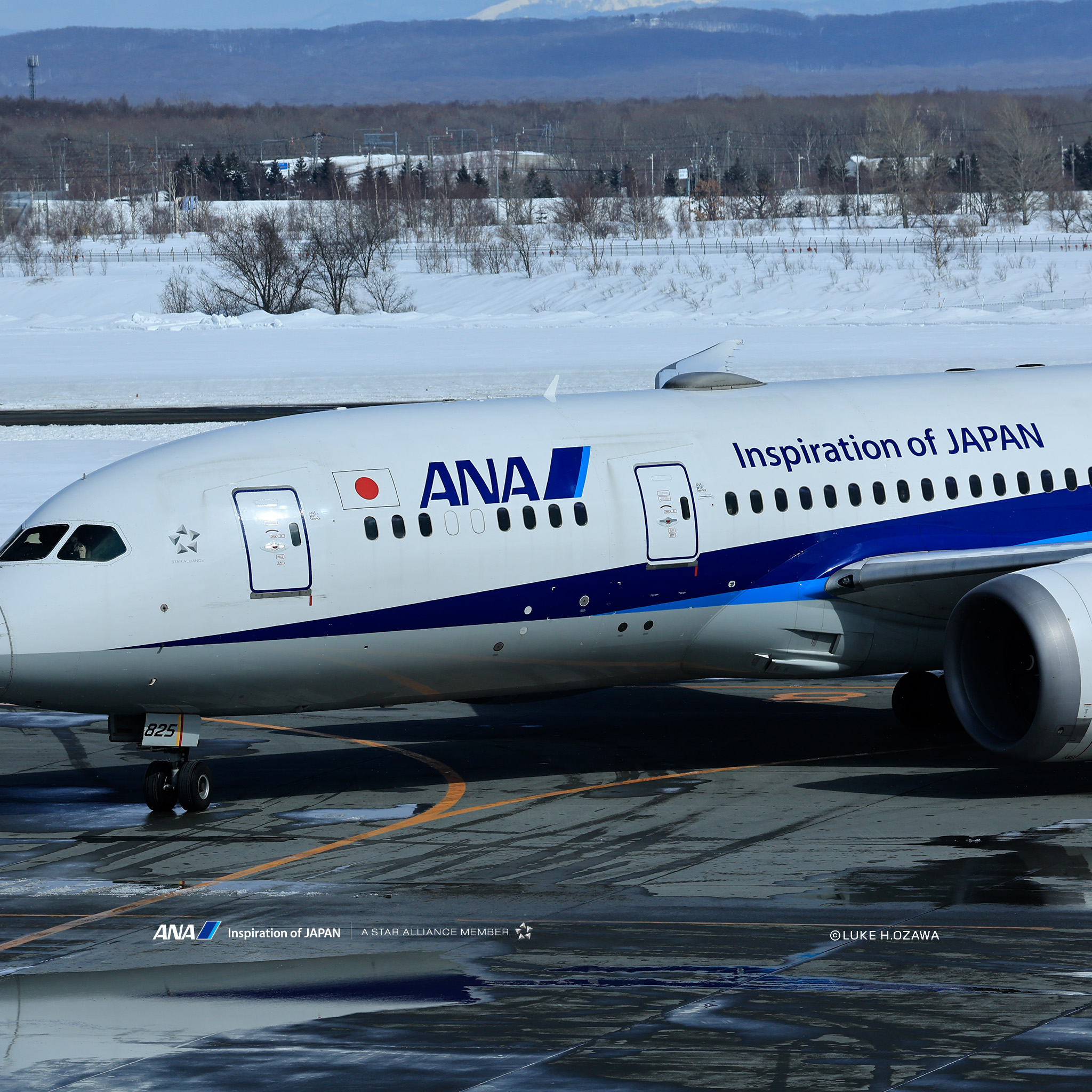 ANA Original Wallpaper | Download Wallpapers | Other | The ANA ...